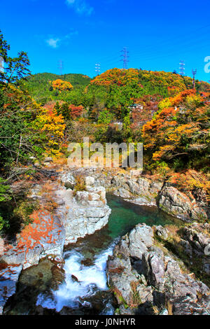 Akigawa Keikoku Valley Autumn Foliage Akiruno Tokyo Japan Stock Photo ...