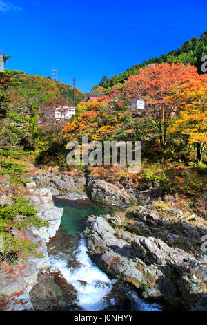 Akigawa Keikoku Valley Autumn Foliage Akiruno Tokyo Japan Stock Photo ...