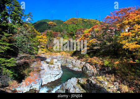Akigawa Keikoku Valley Autumn Foliage Akiruno Tokyo Japan Stock Photo ...