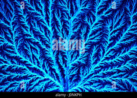 Blue luminous branching spark pattern from high tension electrical ...