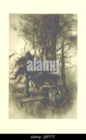 This edition of Thomas Gray's 'Elegy Written in a Country Churchyard ...