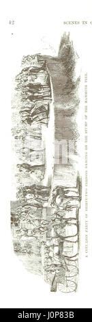 'Scenes of Wonder and Curiosity in California' offers a visual ...