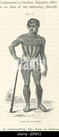 This work examines the origins of civilization and the primitive ...
