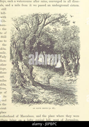This work provides a collection of Scripture illustrations based on the ...