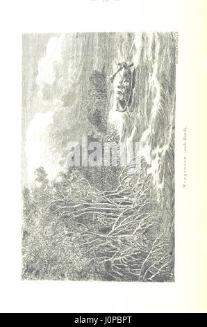 This book recounts a journey through the Brazilian tropics, offering ...