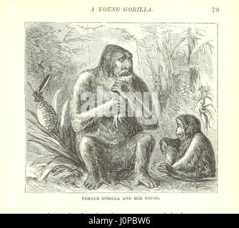 'Wild Life under the Equator' is a book narrated for young readers ...