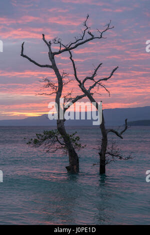 Indonesia Alor Island - Ocean landscape volcanic mountain Stock Photo ...