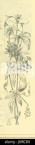 This illustrated collection of sacred poems, edited by R. H. Baynes ...