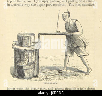 'Social Life of the Chinese' examines various aspects of Chinese ...