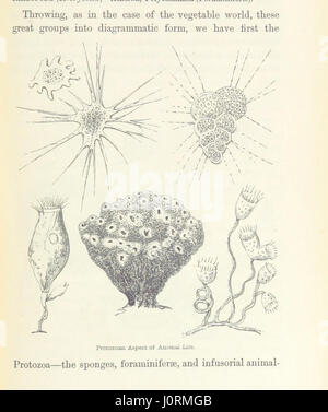 'The Past and Present Life of the Globe' provides a detailed overview ...
