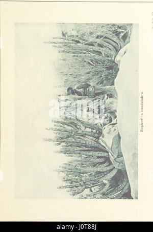 'Nama und Damara' provides an in-depth look at the indigenous Nama and ...