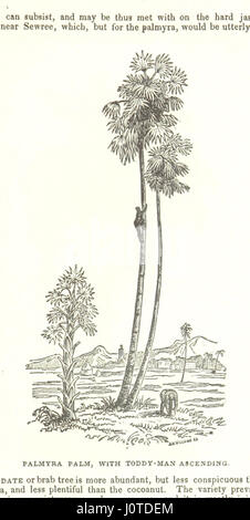 This guide to Bombay, based on the Bombay Times Calendar of 1855 ...