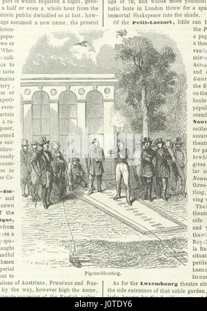 An illustrated guide to both English and American perspectives on Paris ...