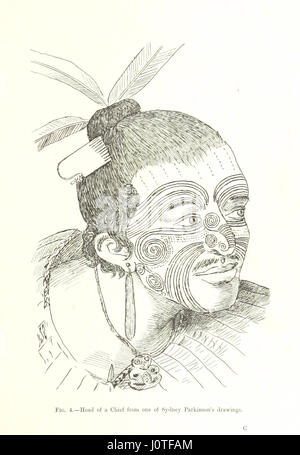 This work explores the history and significance of Maori tattooing ...