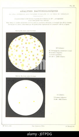 This work explores the history of the Palace of Versailles during the ...