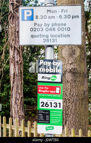 RingGo Parking app on mobile phone showing how busy are the nearby ...