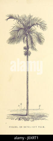Travels in the East Indian Archipelago Stock Photo - Alamy
