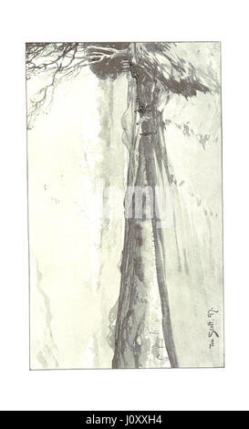 The Hawick Tradition of 1514: the town's common, flag, and seal, etc ...