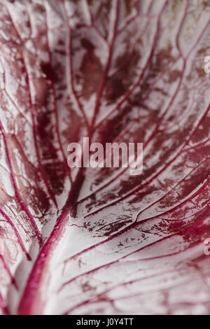 a single leaf of red cabbage Stock Photo - Alamy