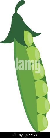 An image of a peapod Stock Vector Image & Art - Alamy