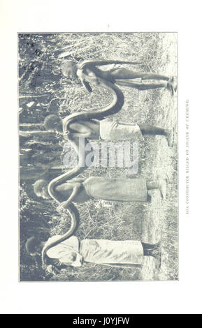 *In Dwarf Land and Cannibal Country* recounts a travel expedition ...