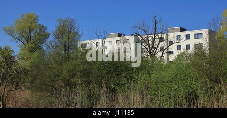 Nature versus architecture. Reconquest of nature Stock Photo - Alamy
