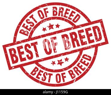best of breed red grunge stamp Stock Vector Image & Art - Alamy