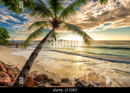 Art Beautiful Caribbean island beach Stock Photo - Alamy