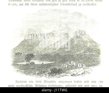 Reisen und Entdeckungen in Nord- und Central-Afrika in den Jahren 1849 ...