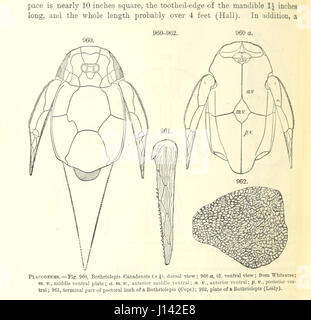 This revised edition of the 'Manual of Geology' covers the foundational ...