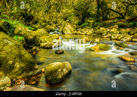 Views along the upper reaches of River Plym and River Meavy on Dartmoor ...