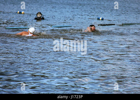 Large group of young people plunging into freezing water in Polar ...