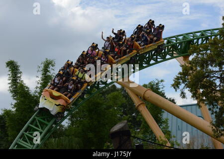 theme park roller coasters full of people wild faces screaming Stock ...