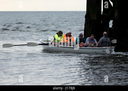Celtic Challenge rowing race Stock Photo - Alamy