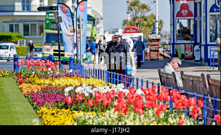 Eastbourne, UK. 19th Apr, 2017. A lone sunbather on Eastbourne beach by ...