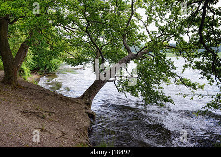 waves on Laach Lake at eifel region. old caldera of volcano (Rhineland ...