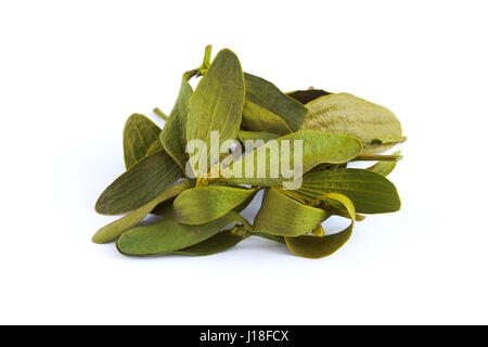dried mistletoe leaves isolated on white Stock Photo - Alamy