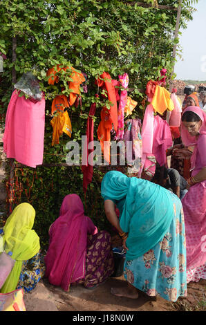 Woman worshiping tree, jodhpur, rajasthan, india, asia Stock Photo - Alamy