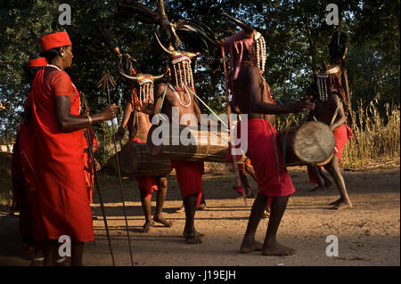 Tribal dance of Bison Horn Maria tribe Jagdalpur, Chhattisgarh, India ...