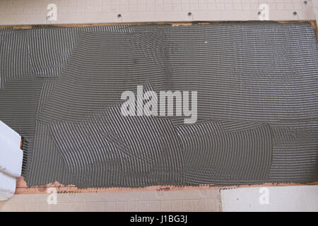 Tile thinset mud (also called cement) for a major tiling renovation ...