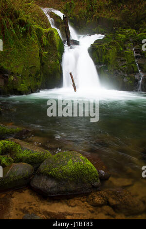 Waterfall along Sweet Creek Hiking Trail Complex in Mapleton Oregon ...