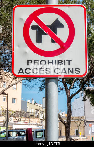 No dogs sign in Ciutadella, Menorca, written in Menorquin Stock Photo ...