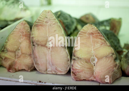 Surubi Fish (Pseudoplatystoma). Typical fish from Parana and Amazonas ...