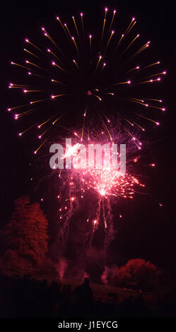 Colorful fireworks exploded in the night sky Stock Photo - Alamy