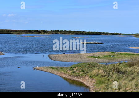 Snettisham Nature Reserve, view of an RSPB sign urging caution in the ...