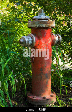 The hydrant iron pipe painted red is a water installation for ...
