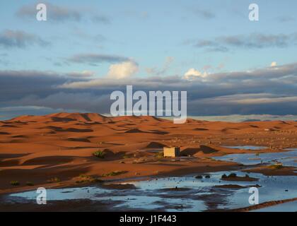 Pools of water amongst the sand dunes after a rain storm in the Sahara ...