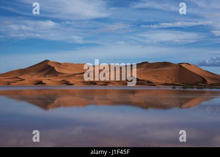 Pools of water amongst the sand dunes after a rain storm in the Sahara ...