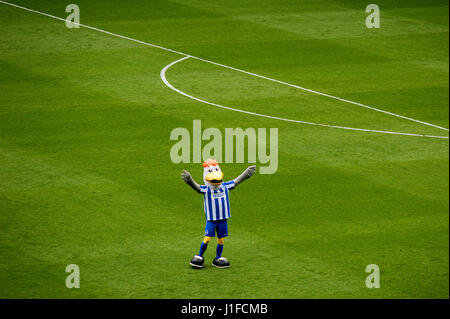 Brighton and Hove albion mascot Gully the seagull Stock Photo ...