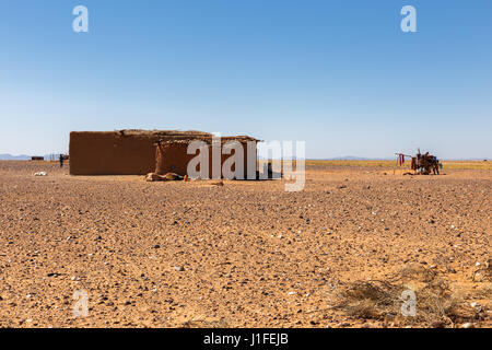 hut Berber in the Sahara desert Stock Photo - Alamy